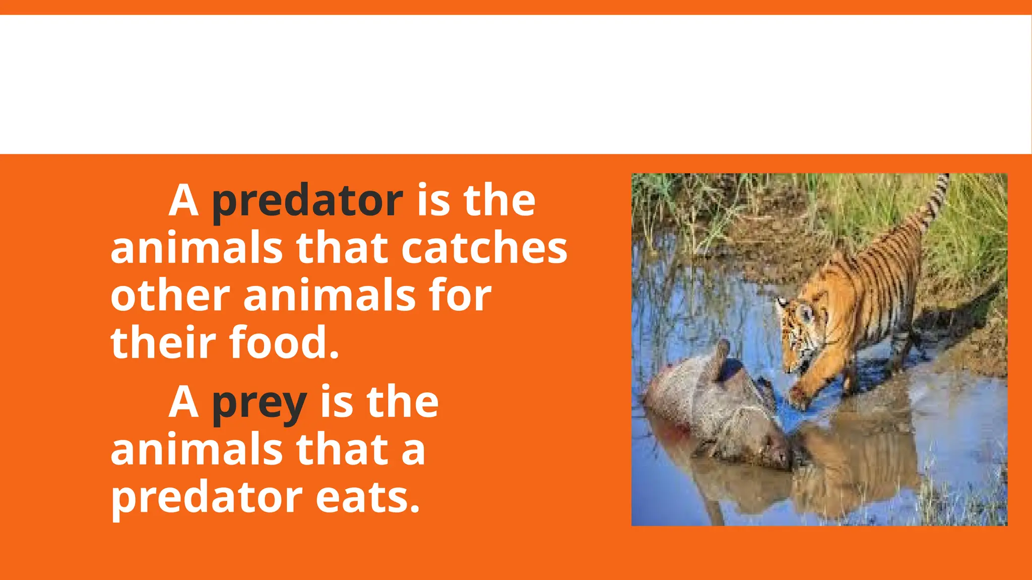 INTERACTIOn of plants and animals in the environment.pptx