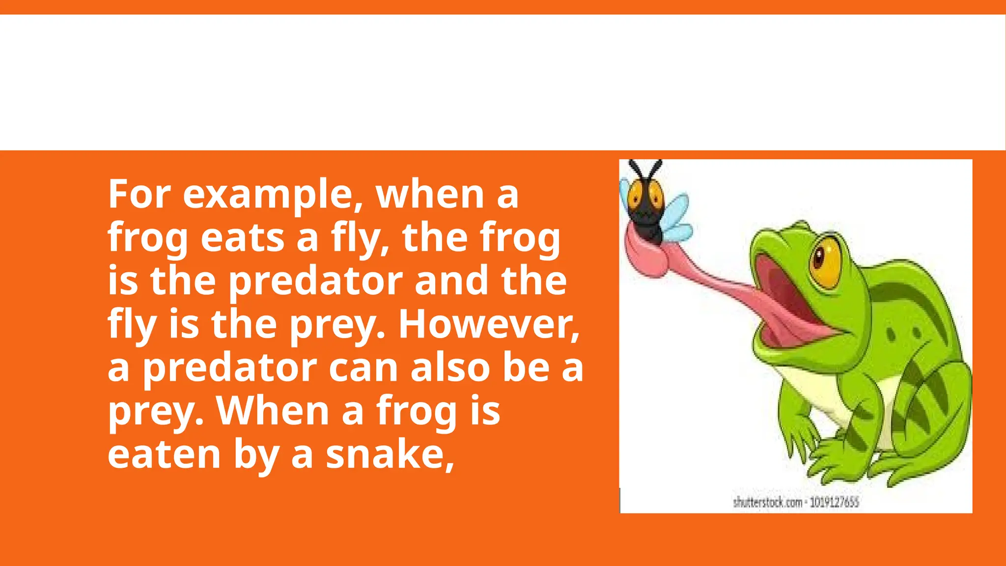 INTERACTIOn of plants and animals in the environment.pptx