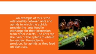 INTERACTIOn of plants and animals in the environment.pptx