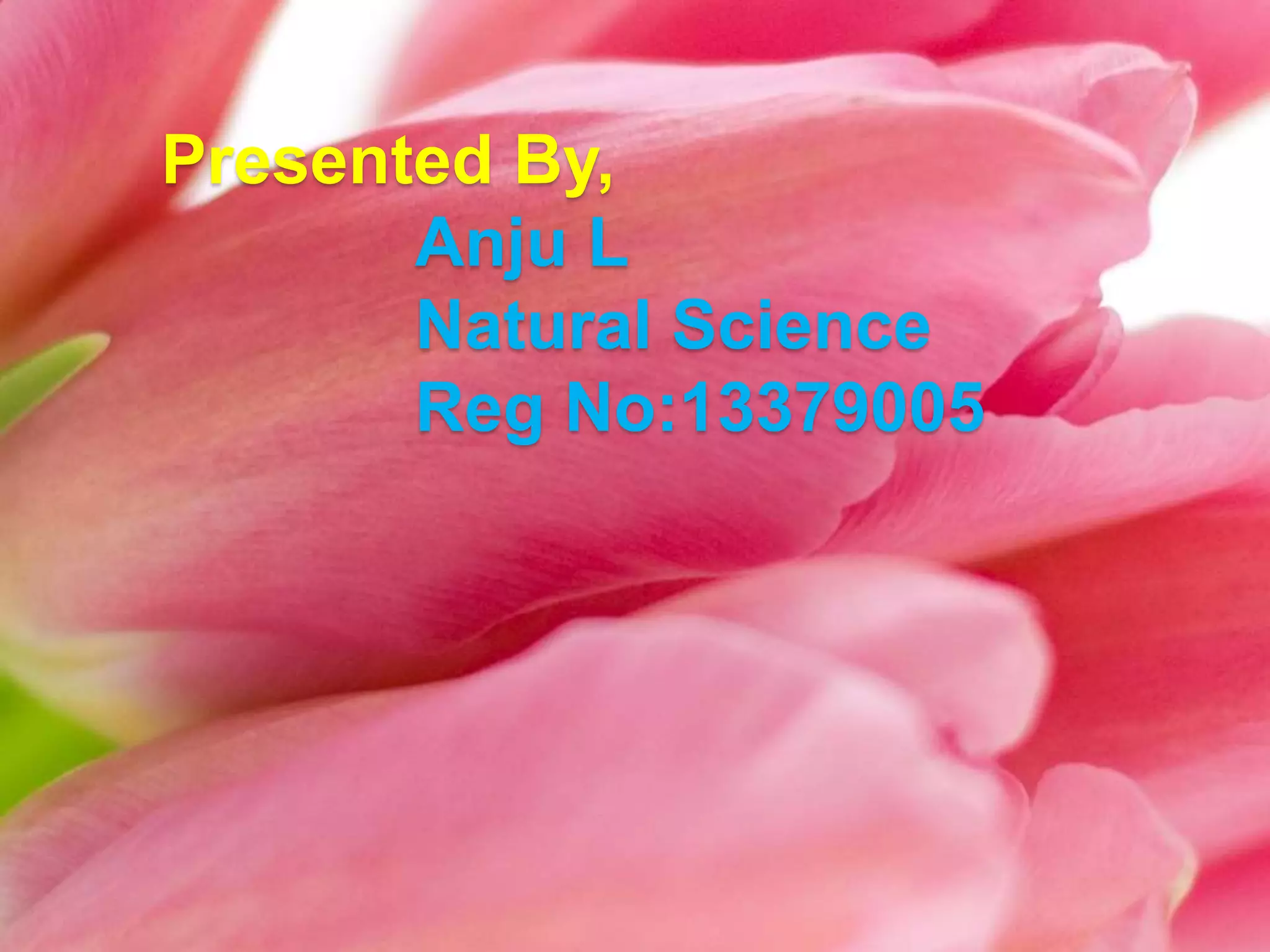 Powerpoint Presentation - Anju L | PPT