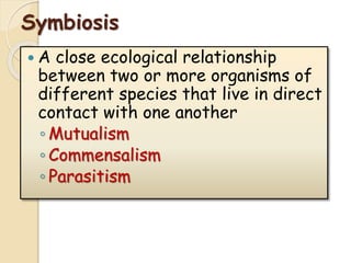 Powerpoint Presentation - Anju L | PPT