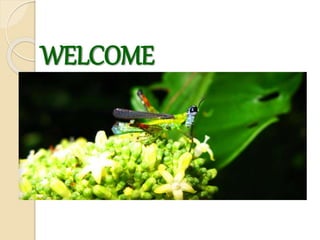 Powerpoint Presentation - Anju L | PPT