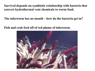 interactions in microorganism powerpoint.ppt