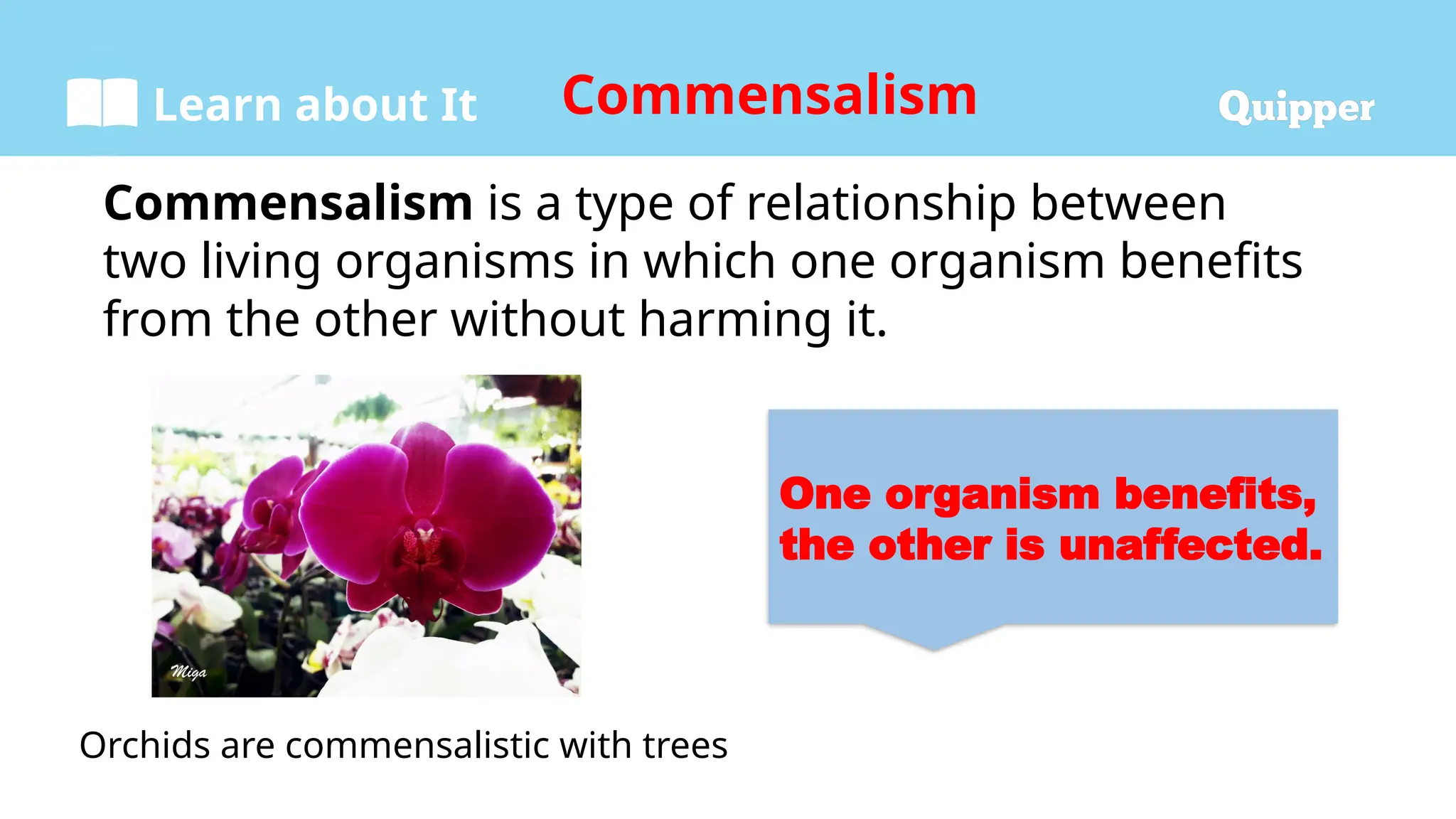 Interactions-Among-Living-Organisms_Symbiotic-Relationships.pptx