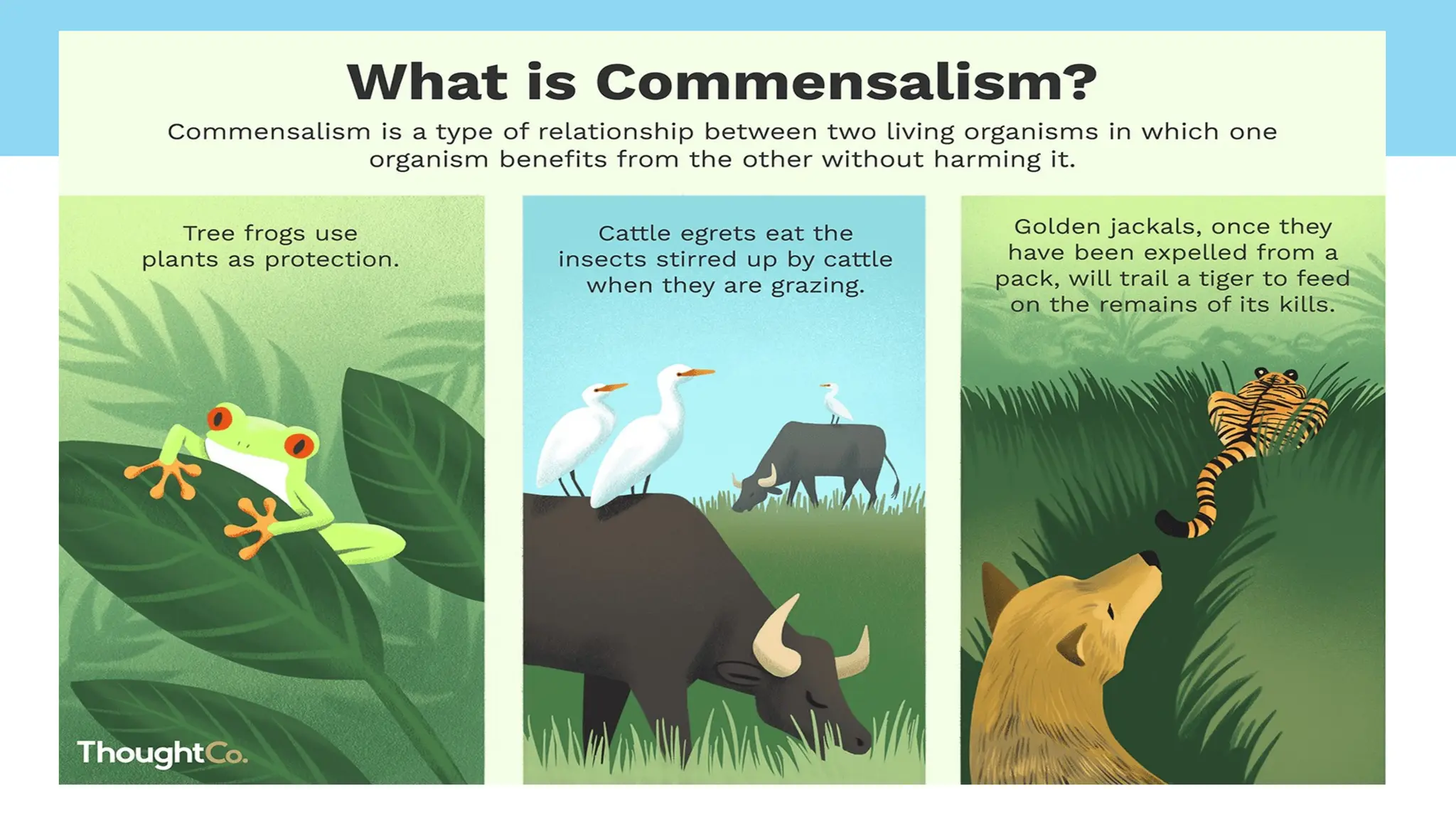 Interactions-Among-Living-Organisms_Symbiotic-Relationships.pptx