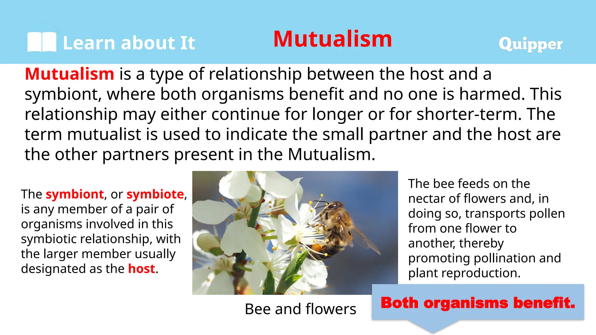 Interactions-Among-Living-Organisms_Symbiotic-Relationships.pptx