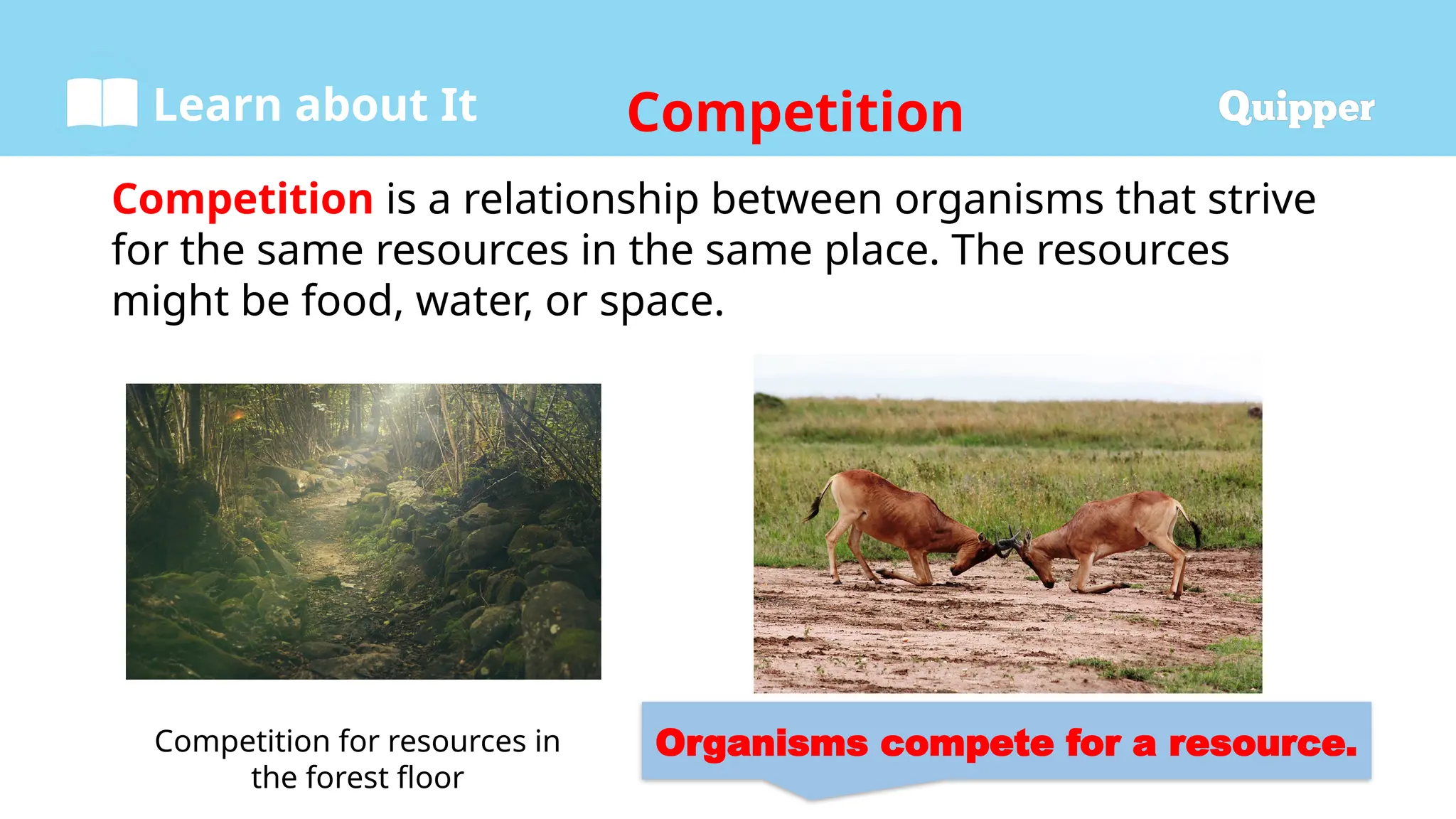 Interactions-Among-Living-Organisms_Symbiotic-Relationships.pptx