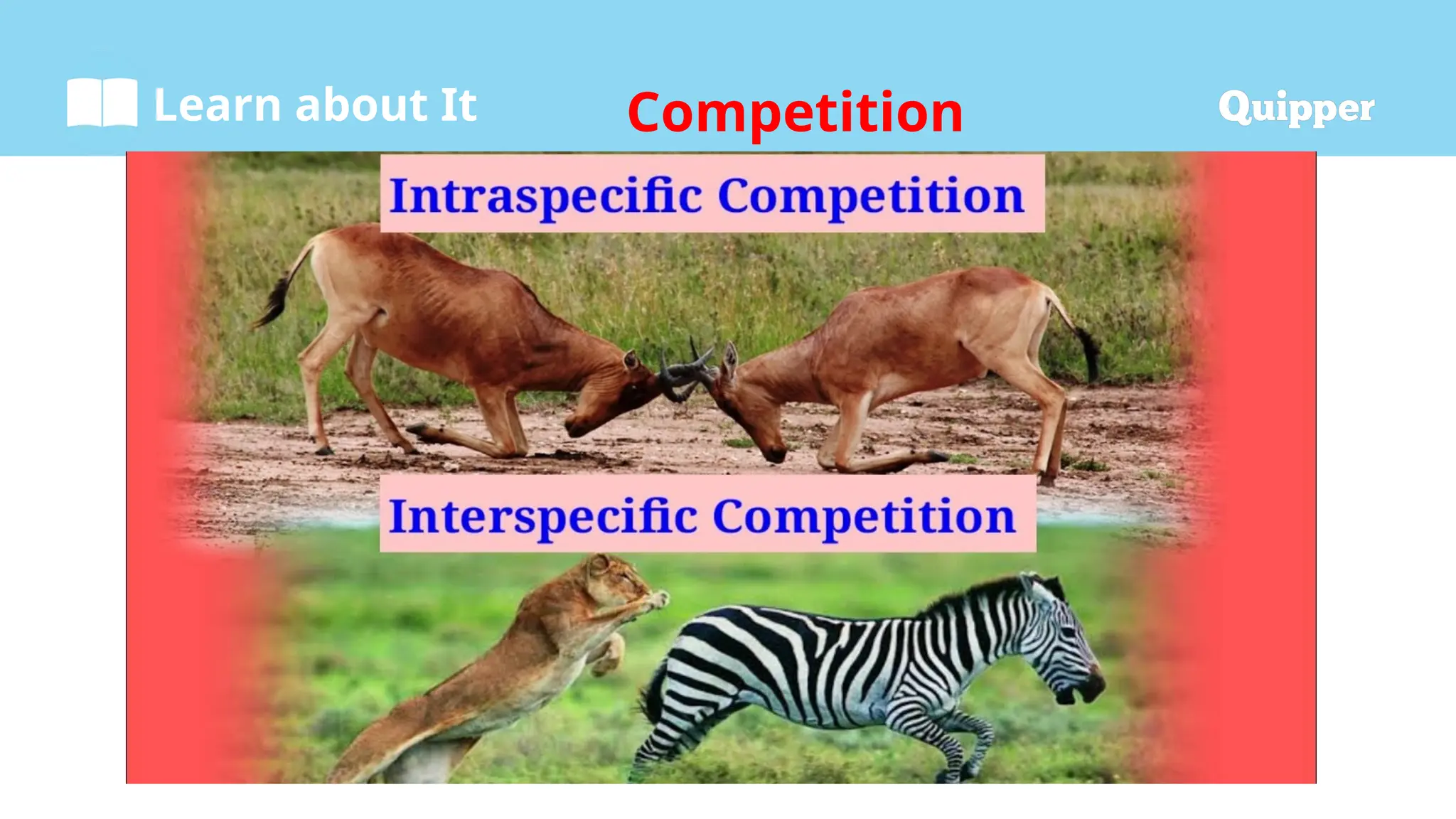 Interactions-Among-Living-Organisms_Symbiotic-Relationships.pptx