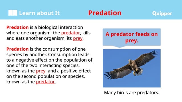 Interactions-Among-Living-Organisms_Symbiotic-Relationships.pptx