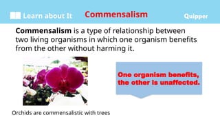 Interactions-Among-Living-Organisms_Symbiotic-Relationships.pptx