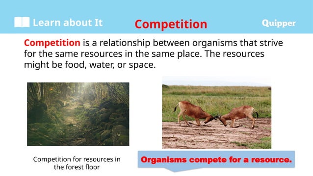 Interactions-Among-Living-Organisms_Symbiotic-Relationships.pptx