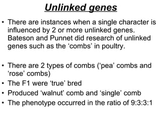 Interactions Between Unlinked Genes 7 | PPT