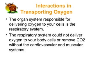 Interactions-in-the-Human-Body-NXPowerLite.ppt
