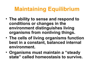 Interactions-in-the-Human-Body-NXPowerLite.ppt