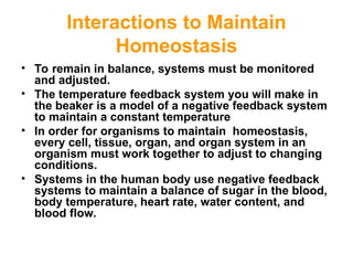 Interactions-in-the-Human-Body-NXPowerLite.ppt