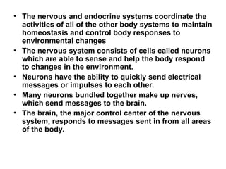 Interactions-in-the-Human-Body-NXPowerLite.ppt