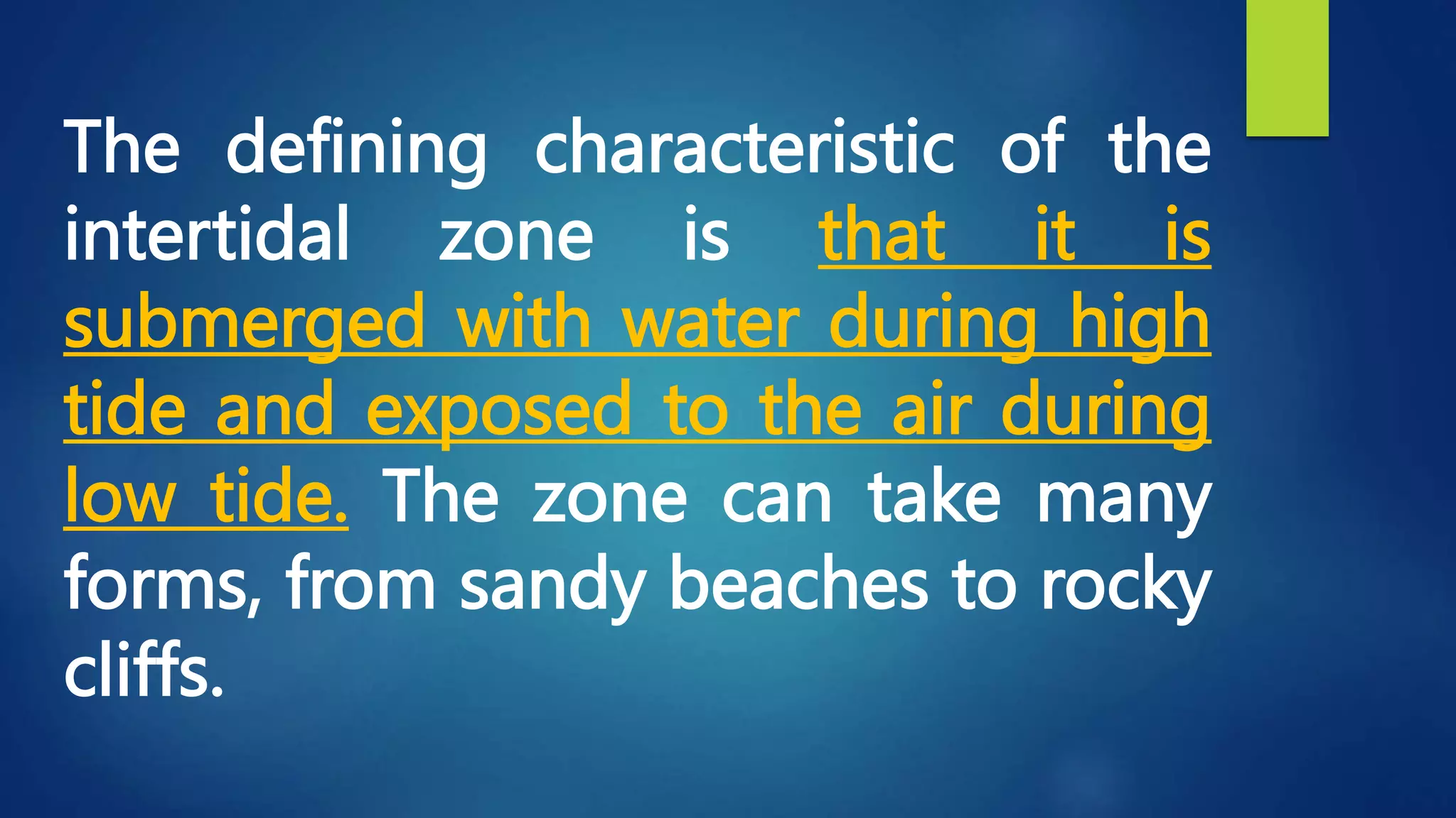 Interactions among Living and Non-Living Things in Intertidal grade 5 ...