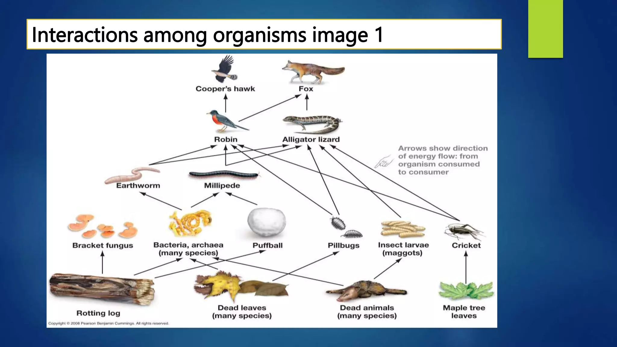Interactions among Living and Non-Living Things in Intertidal grade 5 ...