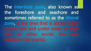 Interactions among Living and Non-Living Things in Intertidal grade 5 ...