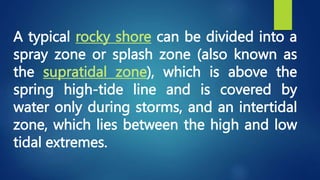 Interactions among Living and Non-Living Things in Intertidal grade 5 ...