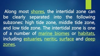 Interactions among Living and Non-Living Things in Intertidal grade 5 ...