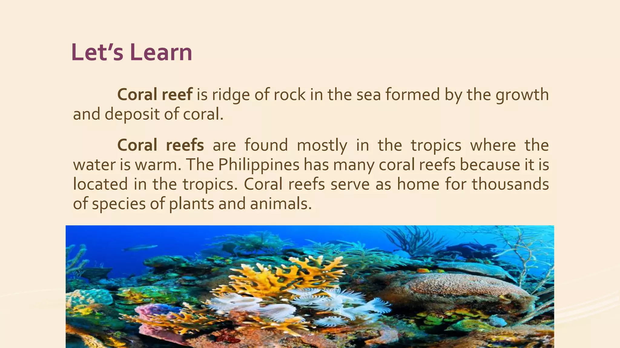 Interactions among Living Things in Coral Reefs.pptx