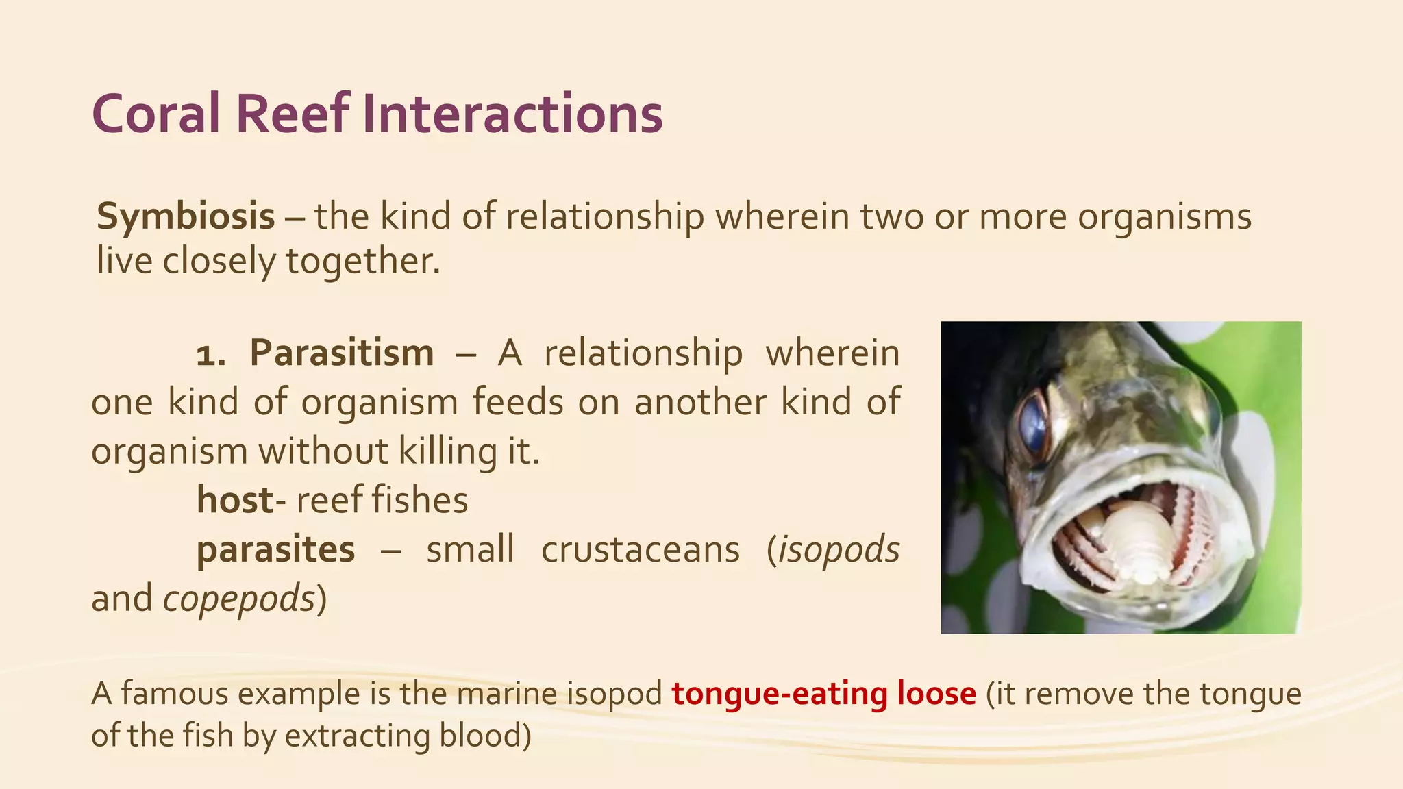 Interactions among Living Things in Coral Reefs.pptx