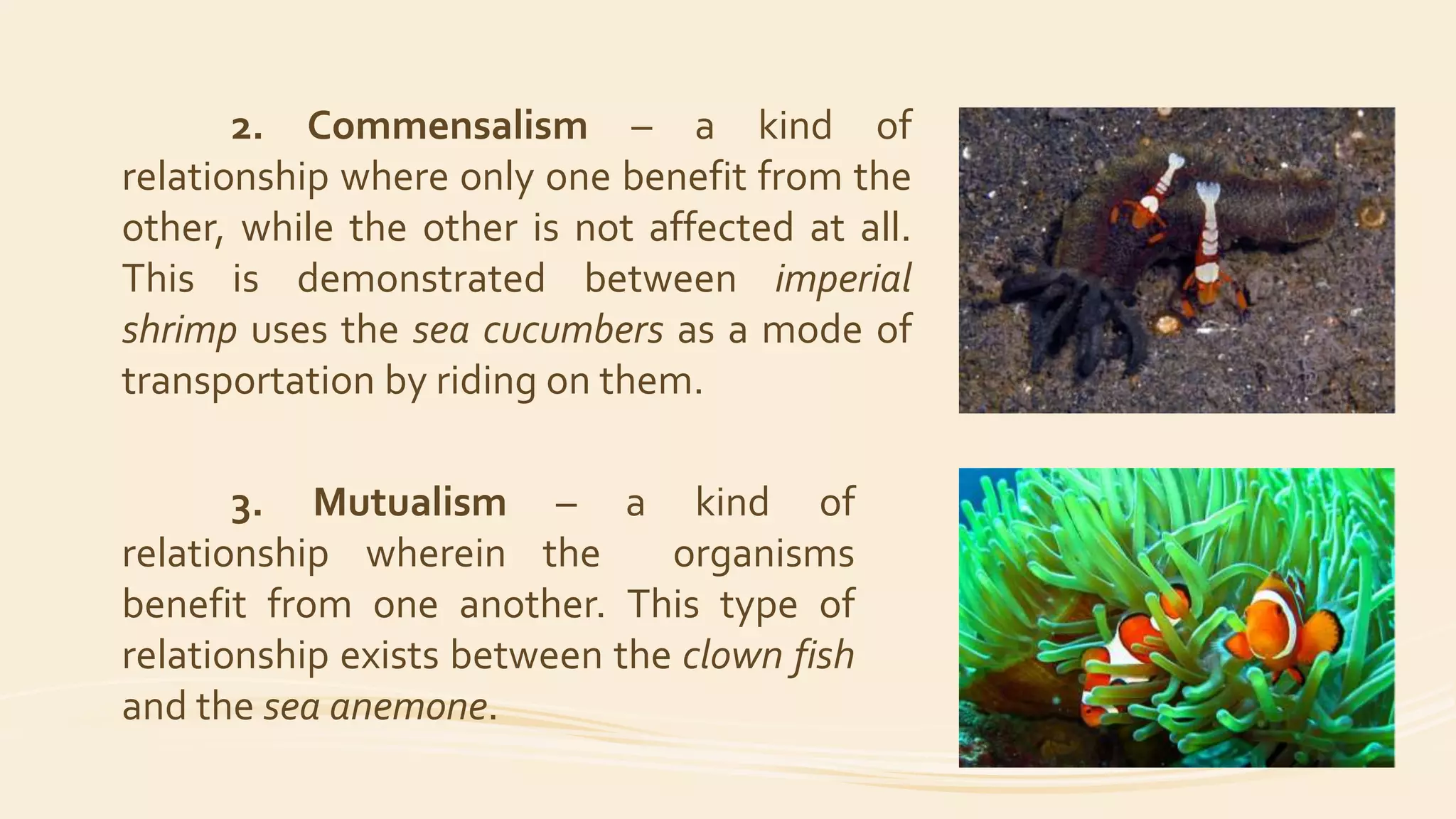 Interactions among Living Things in Coral Reefs.pptx