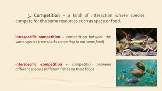 Interactions among Living Things in Coral Reefs.pptx