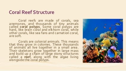 Interactions among Living Things in Coral Reefs.pptx