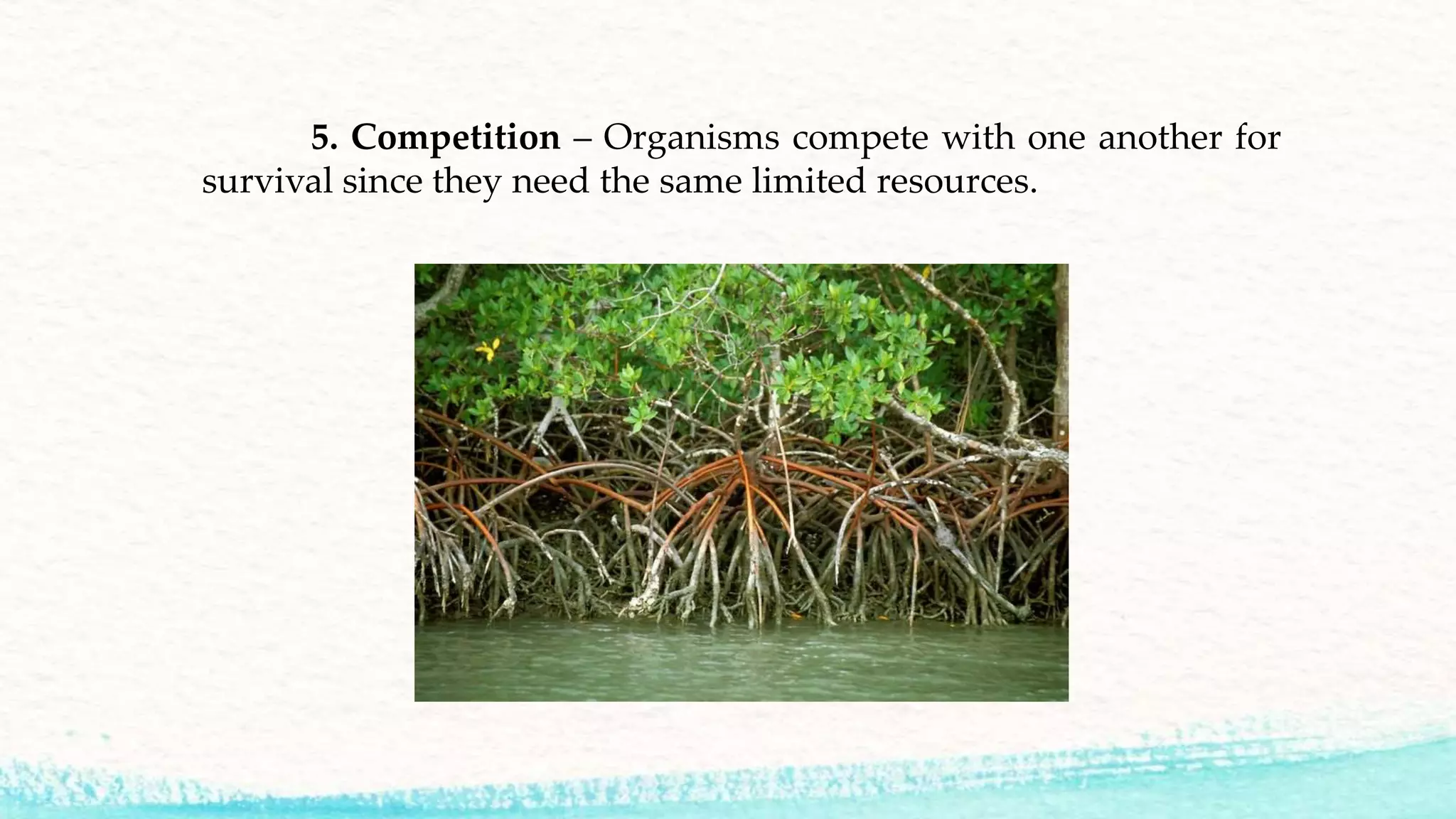 Interactions among Living Things in Mangrove Swamps.pptx