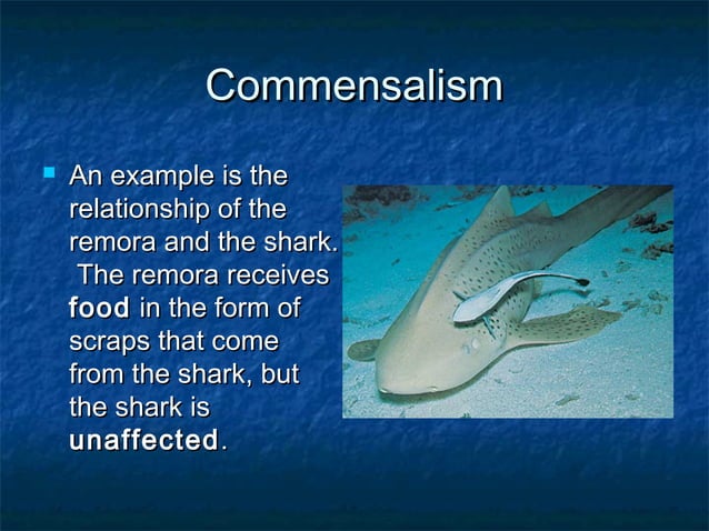 Interactions among organisms 2 | PPT