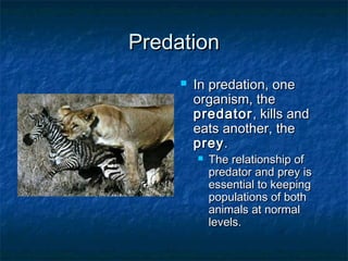 Interactions among organisms 2 | PPT