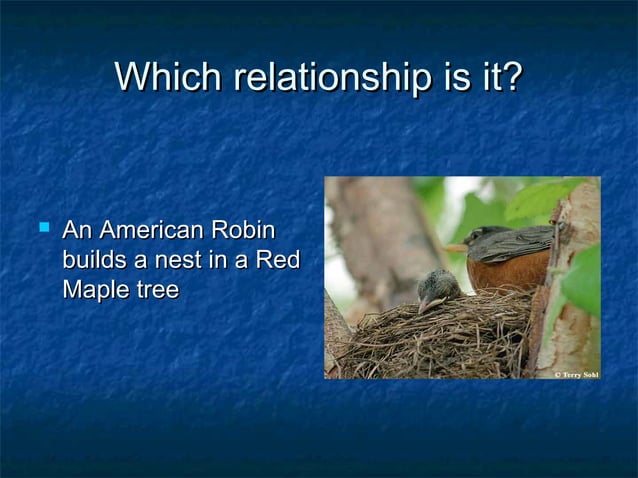 Interactions among organisms 2 | PPT