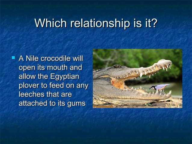 Interactions among organisms 2 | PPT