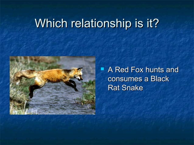Interactions among organisms 2 | PPT