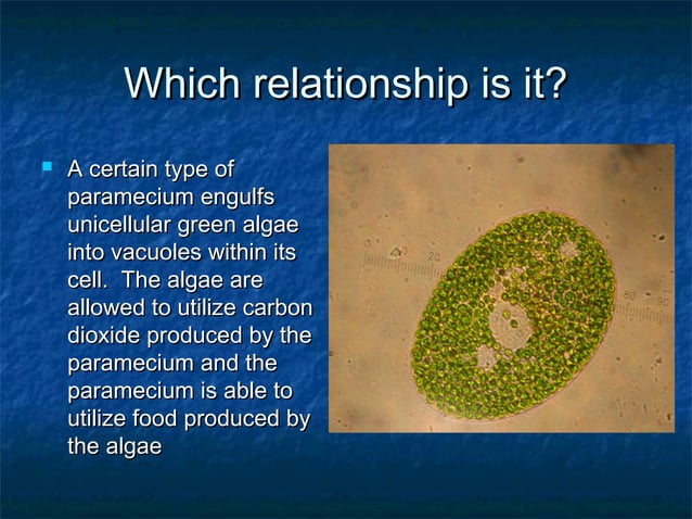 Interactions among organisms 2 | PPT