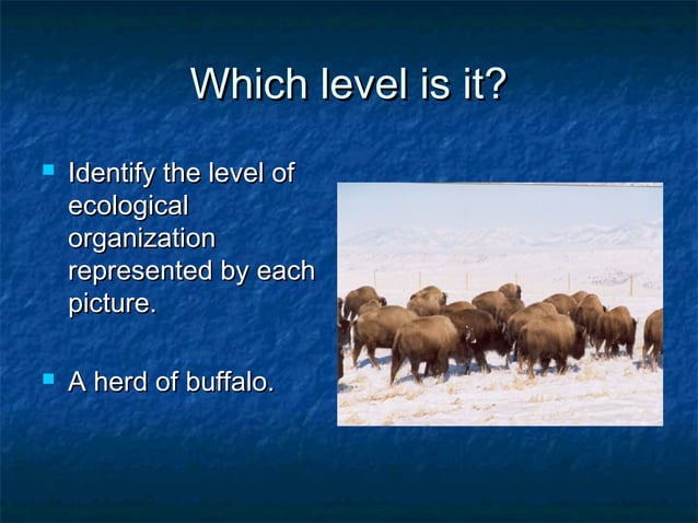 Interactions among organisms 2 | PPT