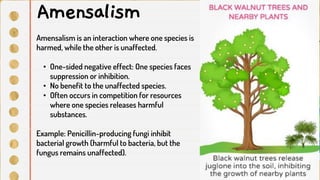 Interactions Among Populations-Understanding Ecological Relationships.pdf