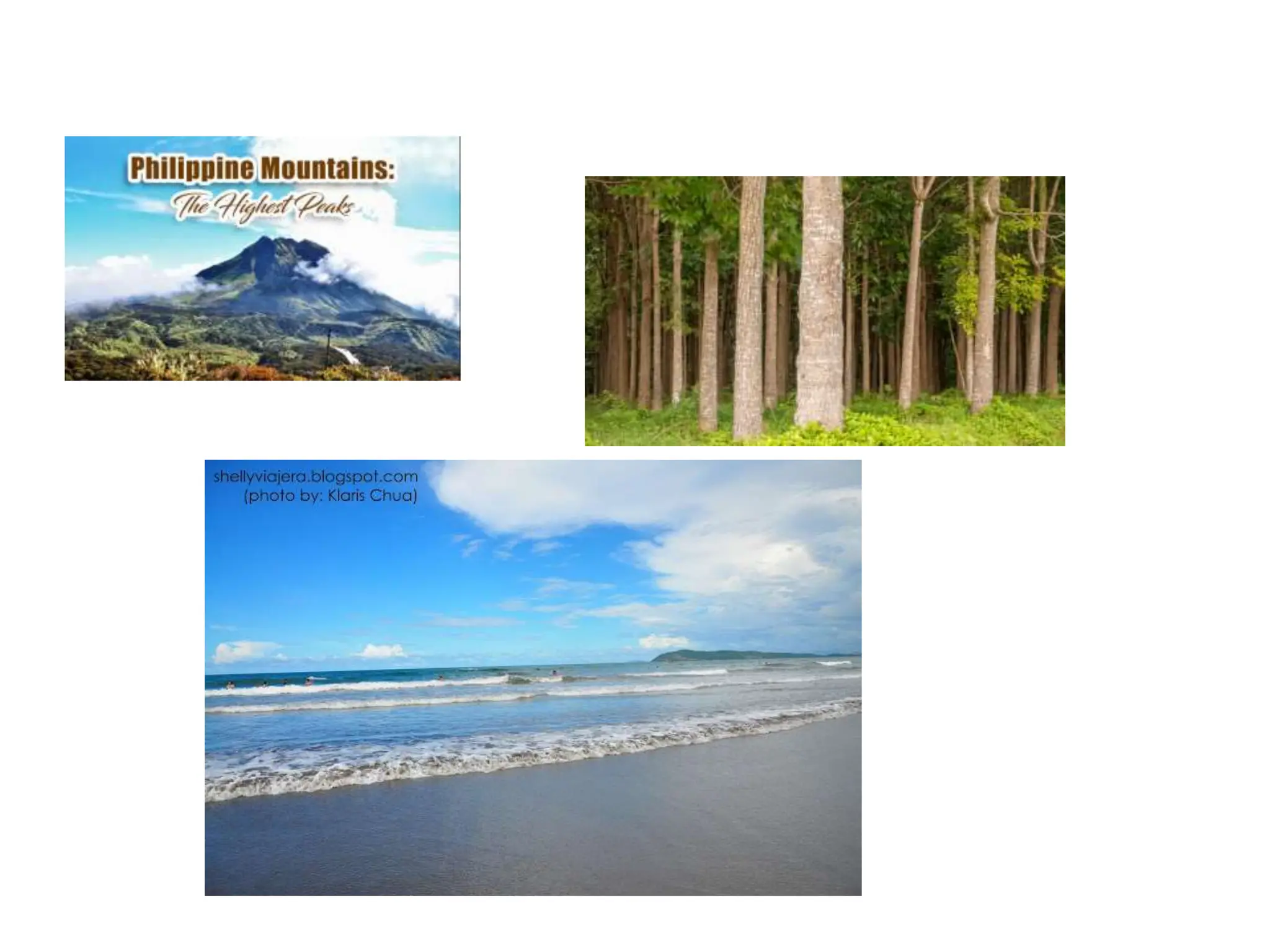 Interactions and Interdependence.pptx