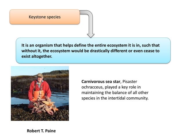 Interactions and Interdependence.pptx