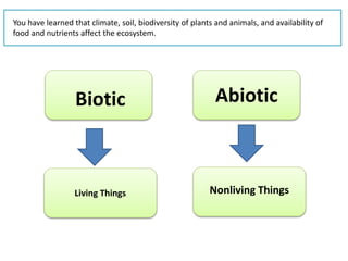 Interactions and Interdependence.pptx