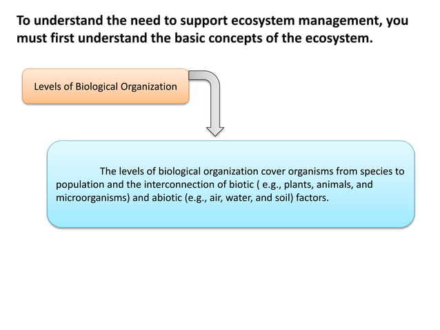 Interactions and Interdependence.pptx
