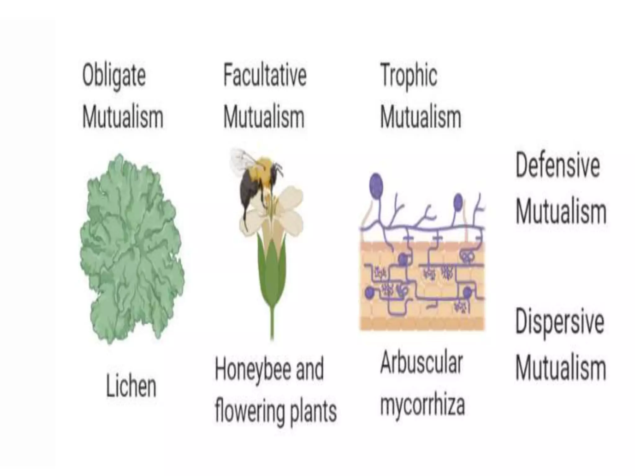 Interactions between microorganisms and Mutualism | PPTX