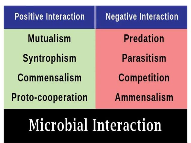 Interactions between microorganisms and Mutualism | PPTX | Biological ...