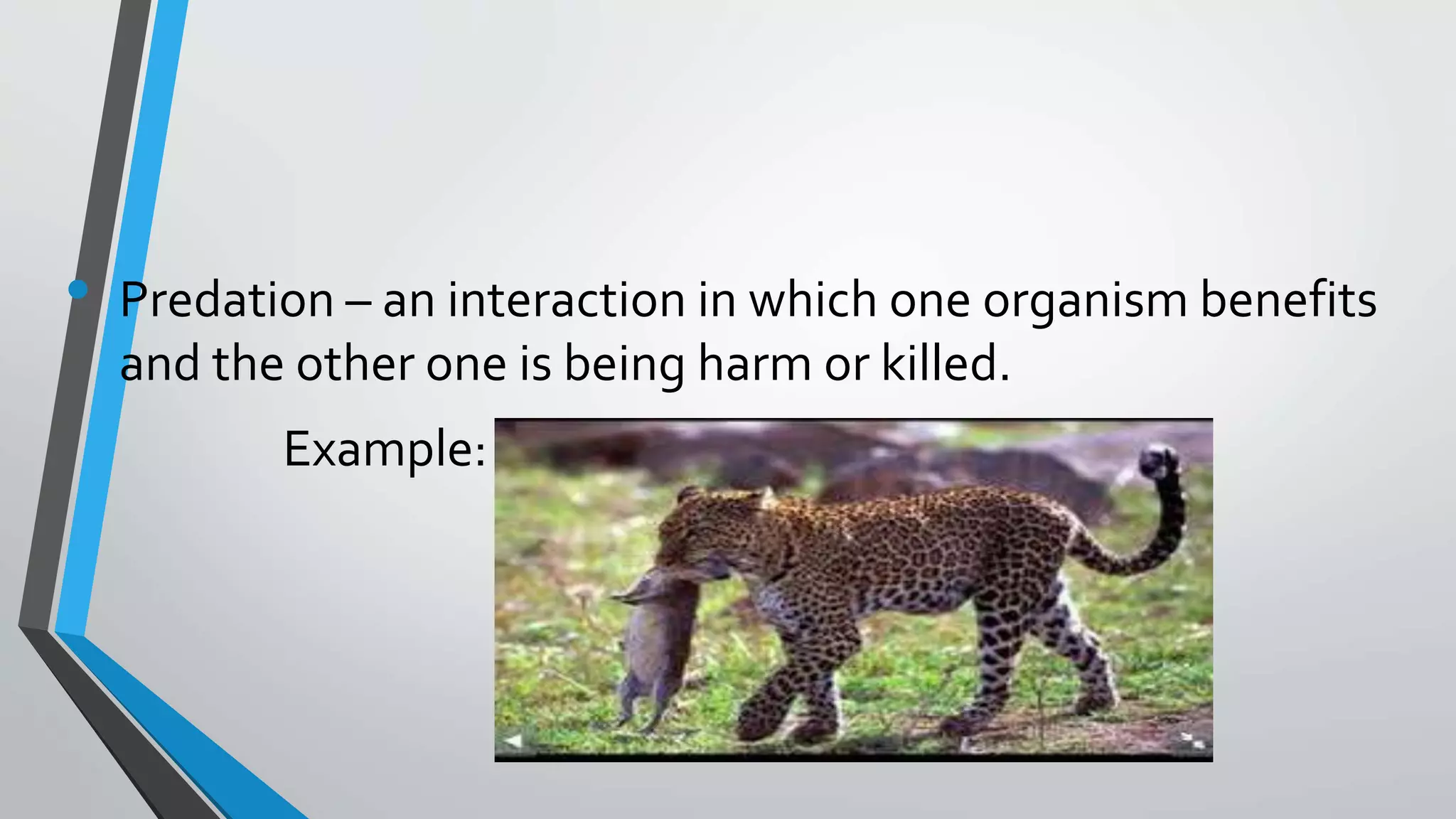 Interactions in an Ecosystem.pptx