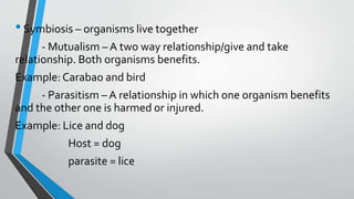 Interactions in an Ecosystem.pptx