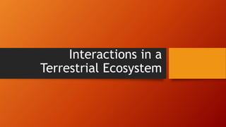 Interactions in a terrestrial ecosystem | PPT
