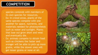 Interactions in a terrestrial ecosystem | PPT