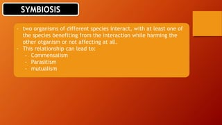 Interactions in a terrestrial ecosystem | PPT